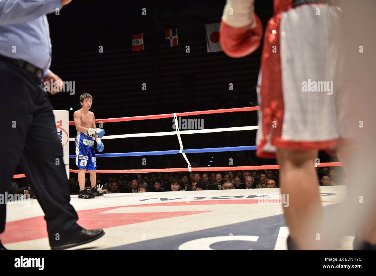 Tokyo, Japan. 31st Dec, 2014. Ryoichi Taguchi (JPN) Boxing : Ryoichi ...