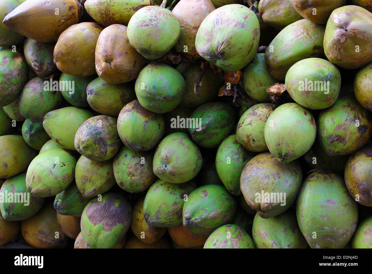 andaman, arranged, bags, beach, coconut, coconuts, india, jute, narial ...
