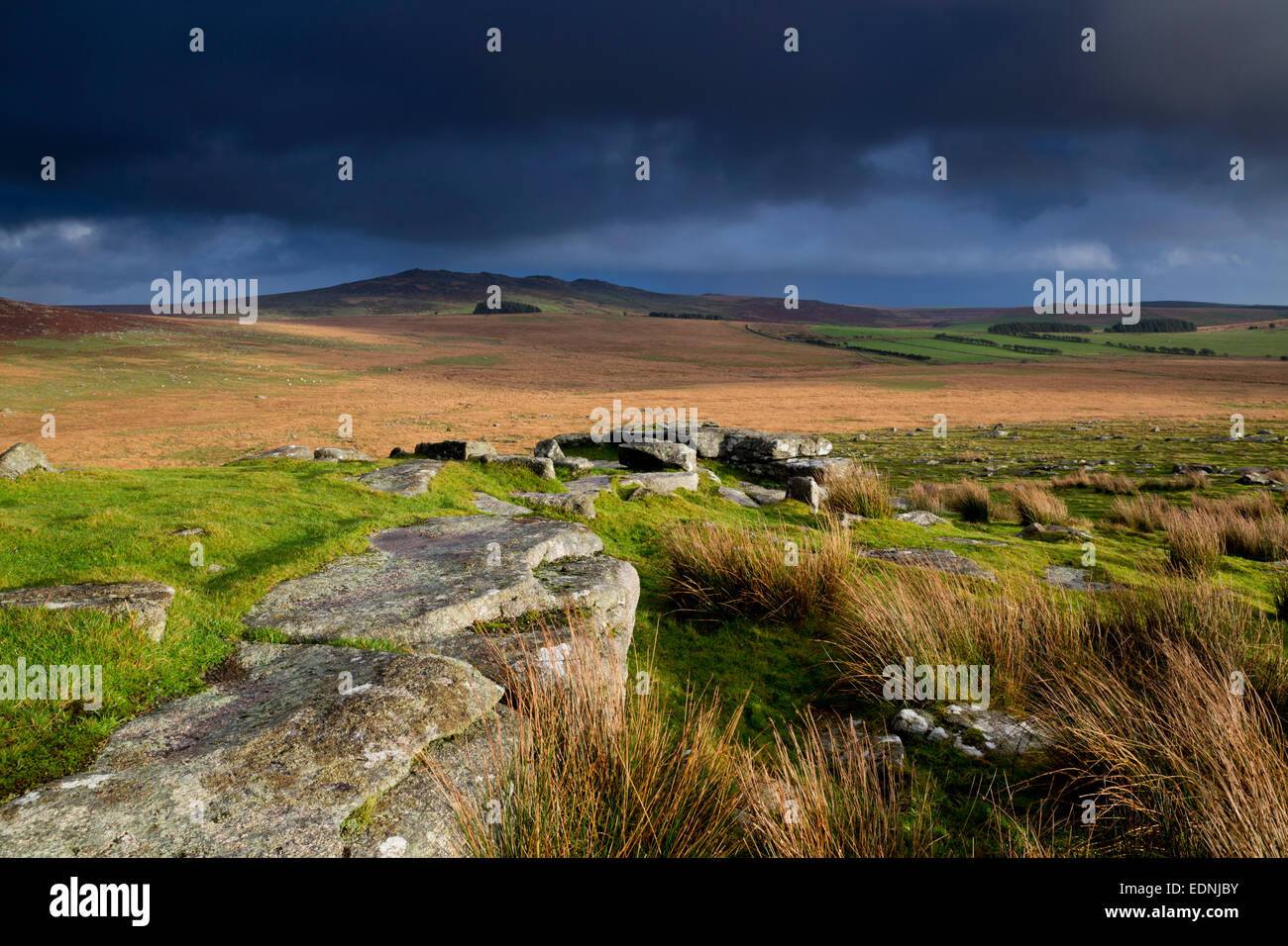 Brown Willy; Bodmin Moor; Cornwall; UK Stock Photo - Alamy