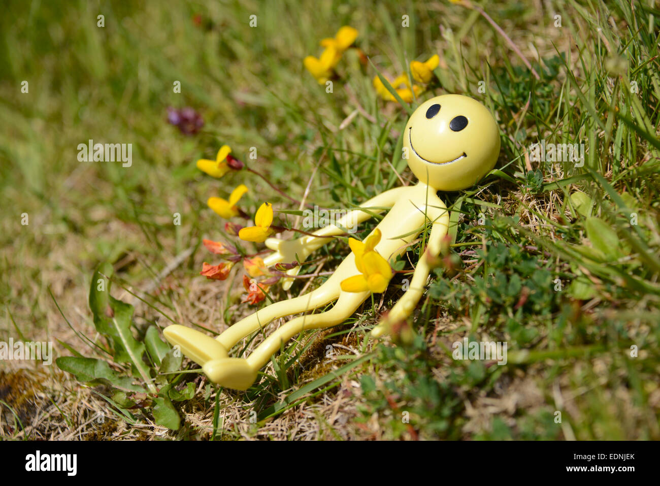 Yellow Smiley Man on holiday in the Outer Hebrides - sunbathing amid ...