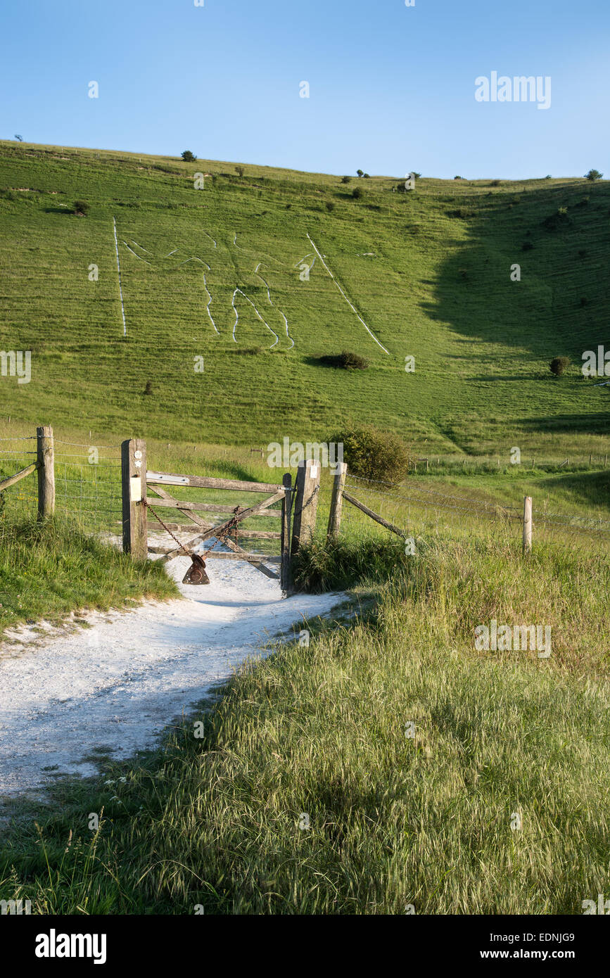 Summer landscape image of ancient chalk carving in hillside Long Man of ...
