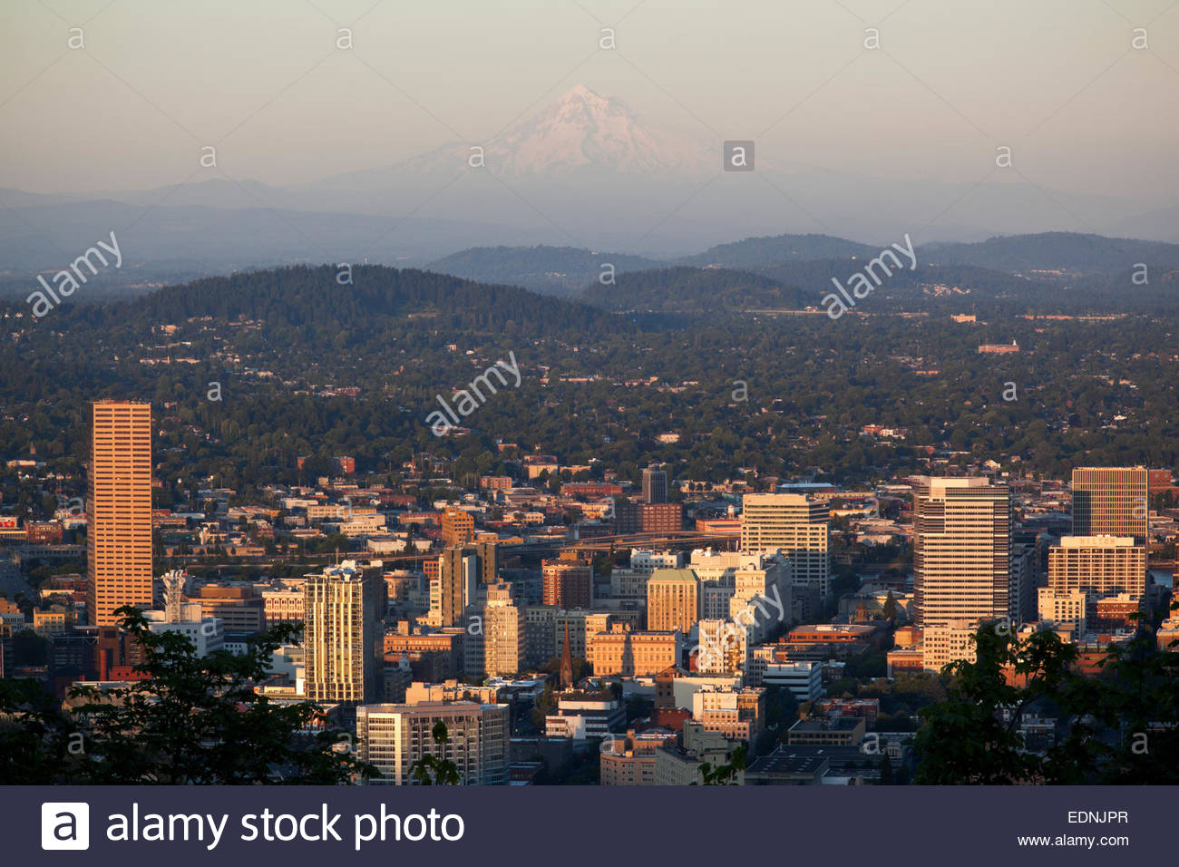 Portland Oregon Pittock Mansion High Resolution Stock Photography and ...
