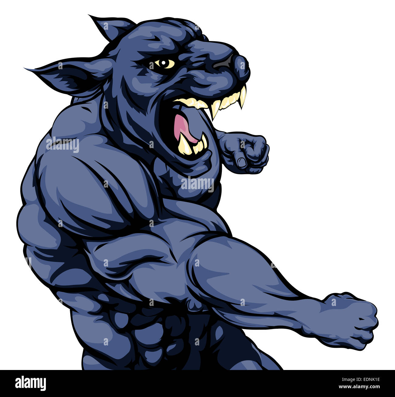 A mean looking panther sports mascot fighting and punching with fist ...
