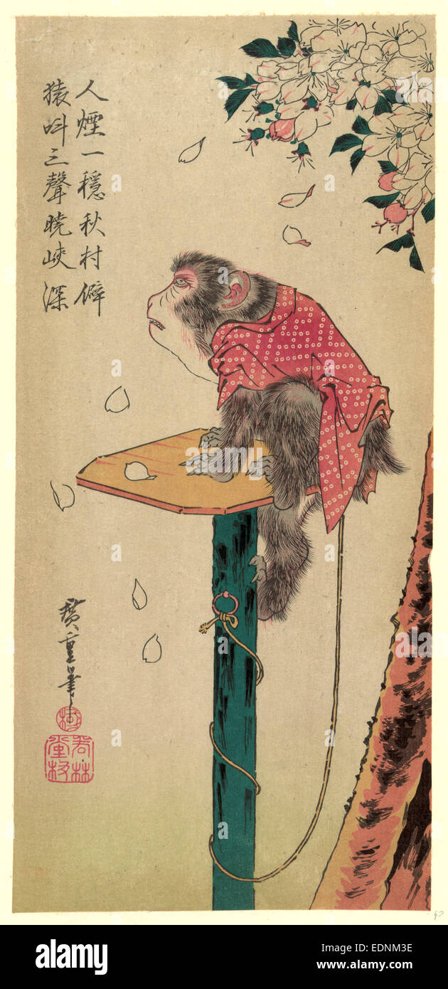 Sakura ni tsunagizaru, Monkey on a leash and cherry blossoms., Ando ...