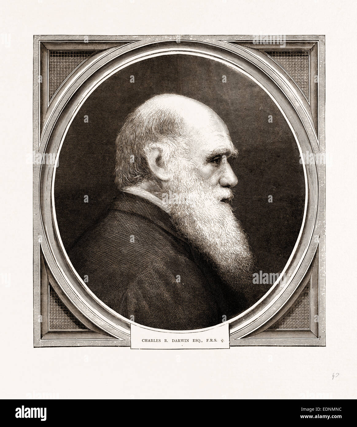 Charles r hi-res stock photography and images - Alamy