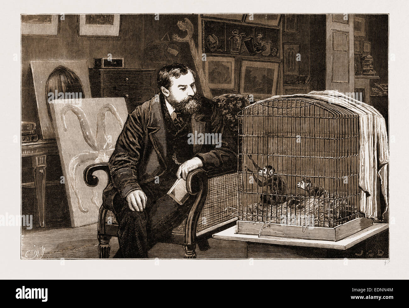 THE LATE MR. FRANK BUCKLAND "AT HOME", 1881 Stock Photo - Alamy