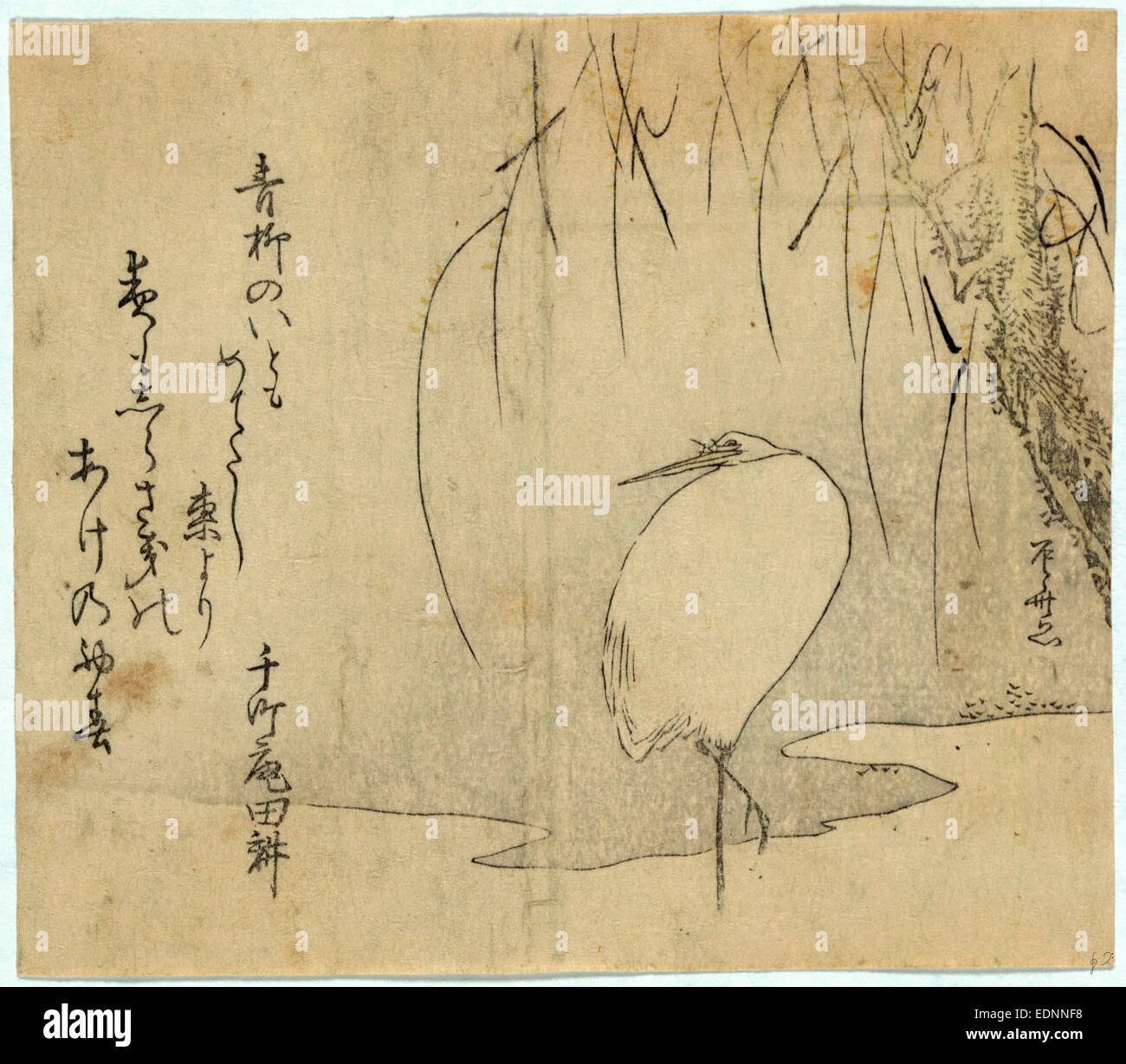 Yanagi ni shirasagi, White heron beneath a willow tree., Ryuryukyo ...