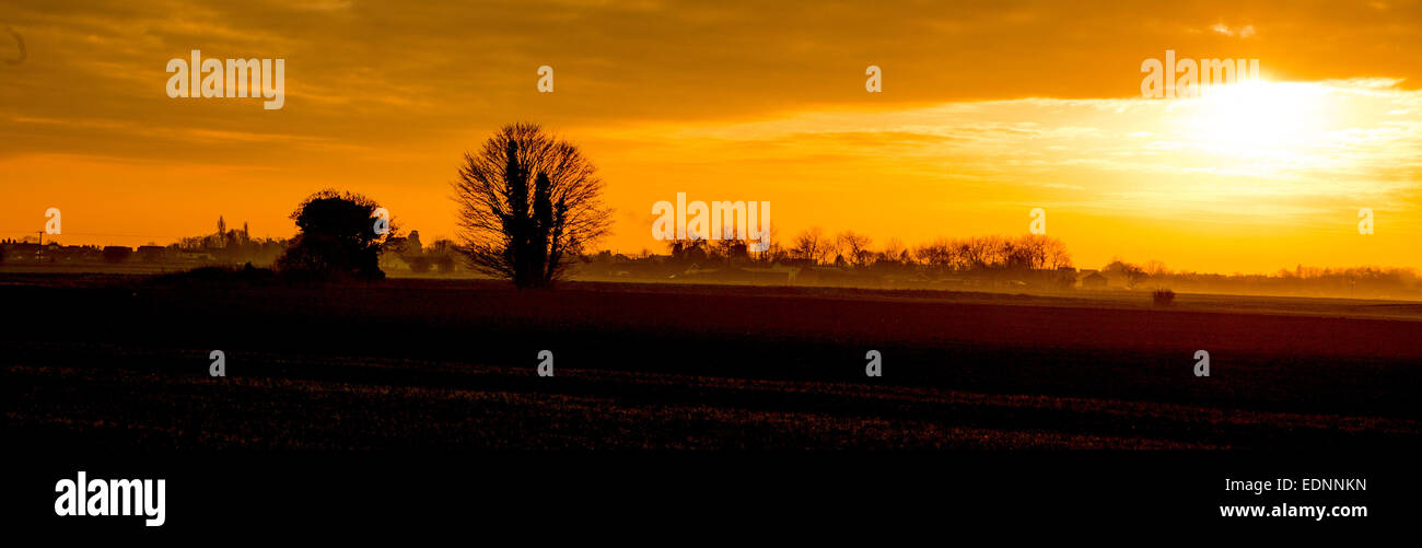 Summer sunset field nature wildlife hi-res stock photography and images ...
