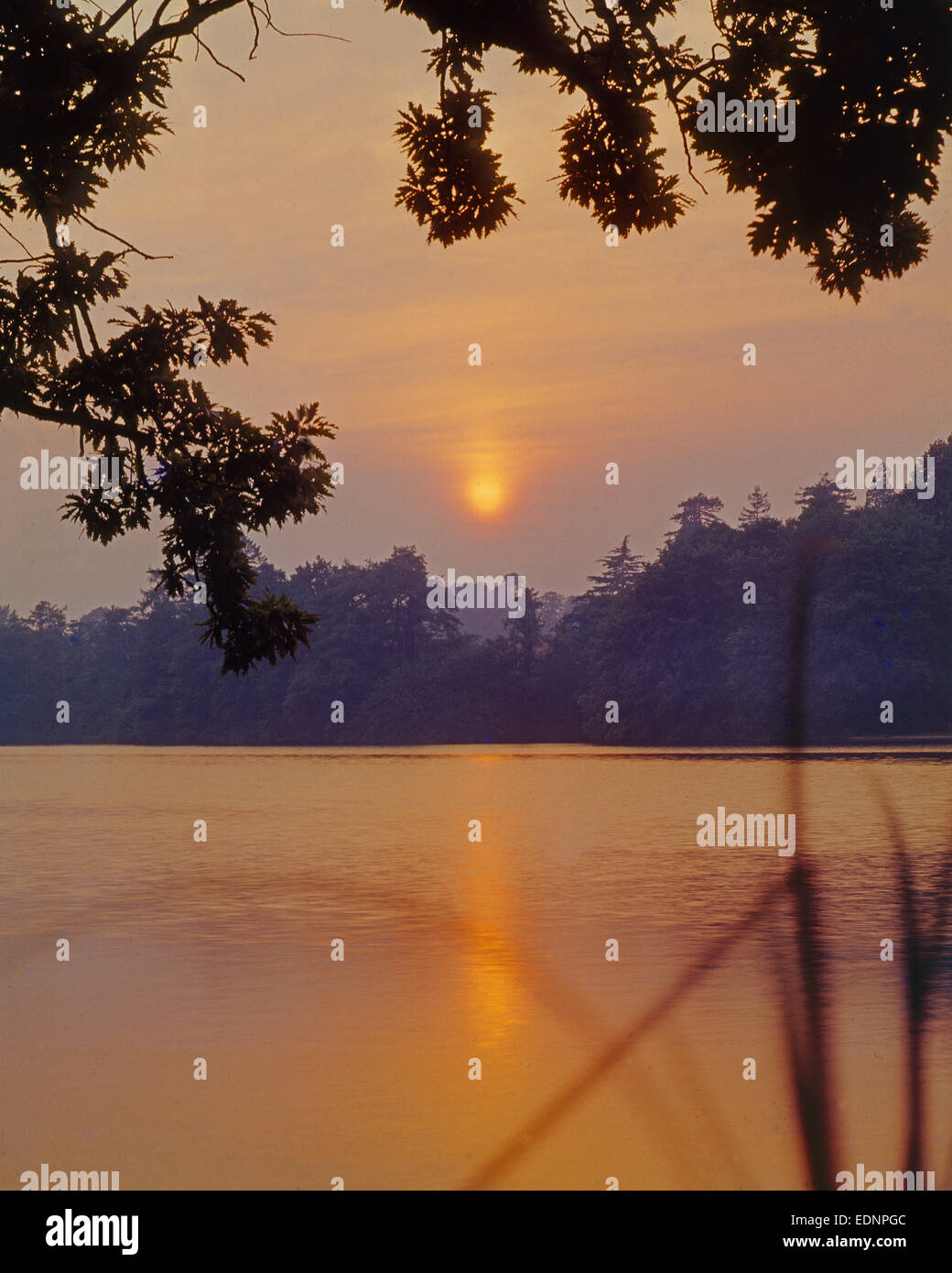 Virginia Water Surrey Stock Photo - Alamy