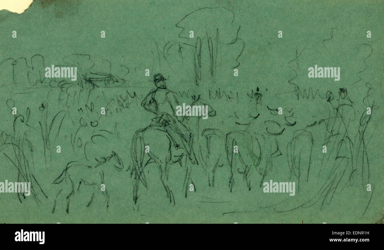 Driving in cows, 1860-1865, drawing, 1862-1865, by Alfred R Waud, 1828 ...