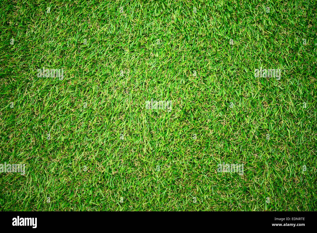 artificial grass background Stock Photo - Alamy