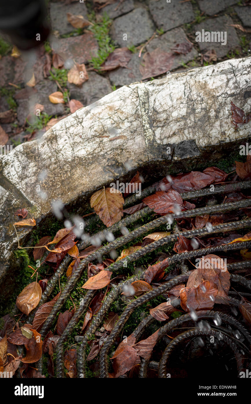 Some autumn leaves are falling in the pool of a fountain Stock Photo ...