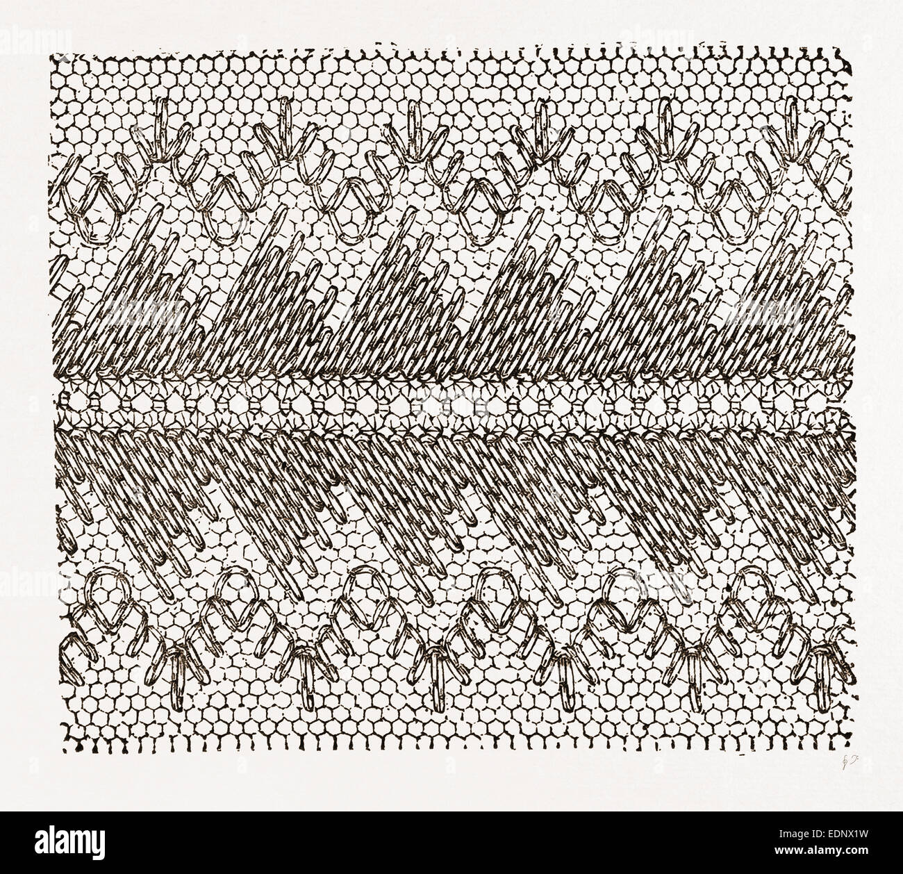 Design darning hi-res stock photography and images - Alamy