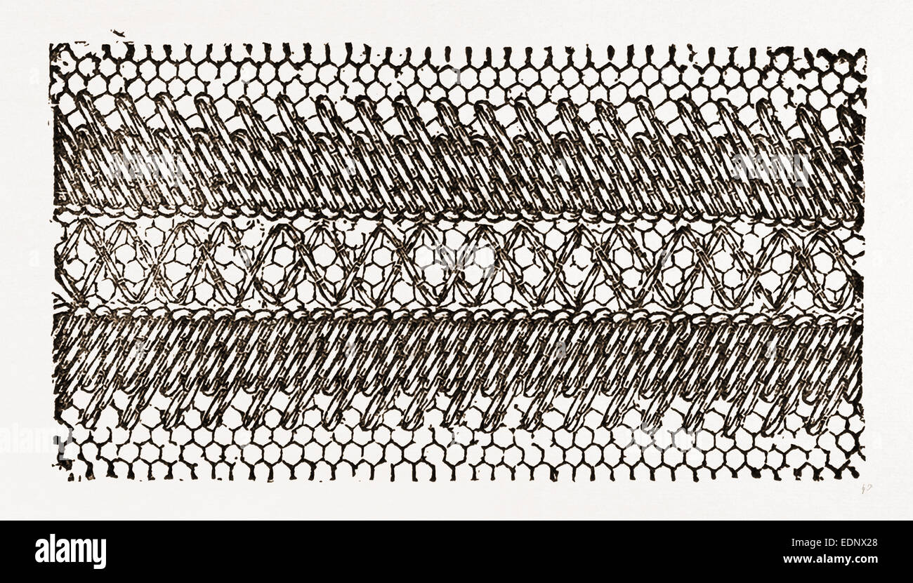 Design darning hi-res stock photography and images - Alamy