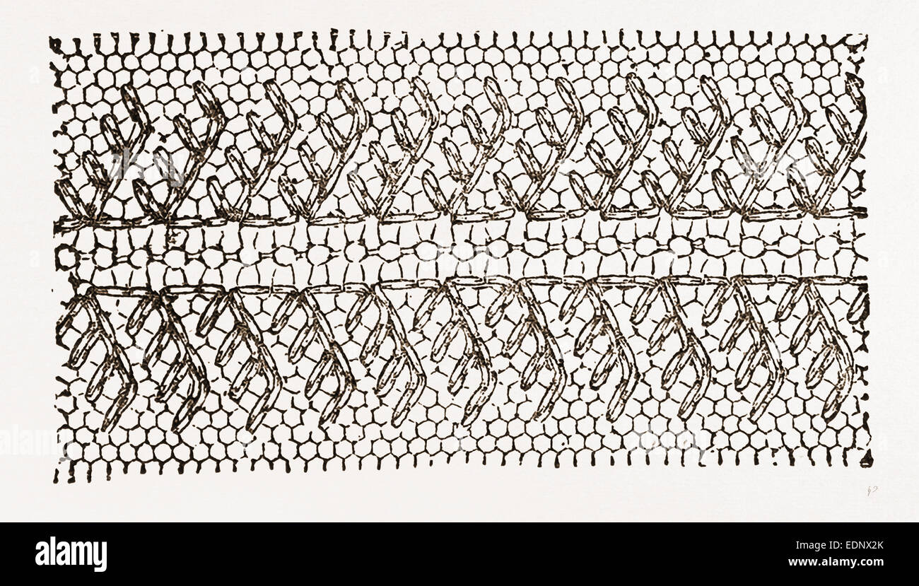 DESIGN FOR DARNING ON NET, NEEDLEWORK, 19th CENTURY EMBROIDERY Stock ...