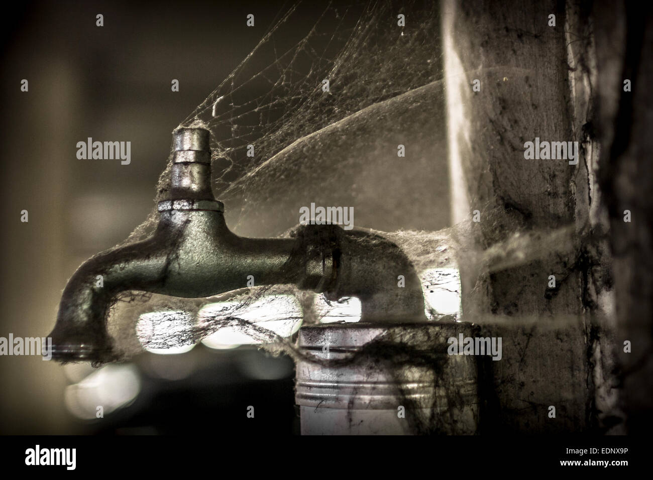 A tap covered with spider web, no more water Stock Photo - Alamy