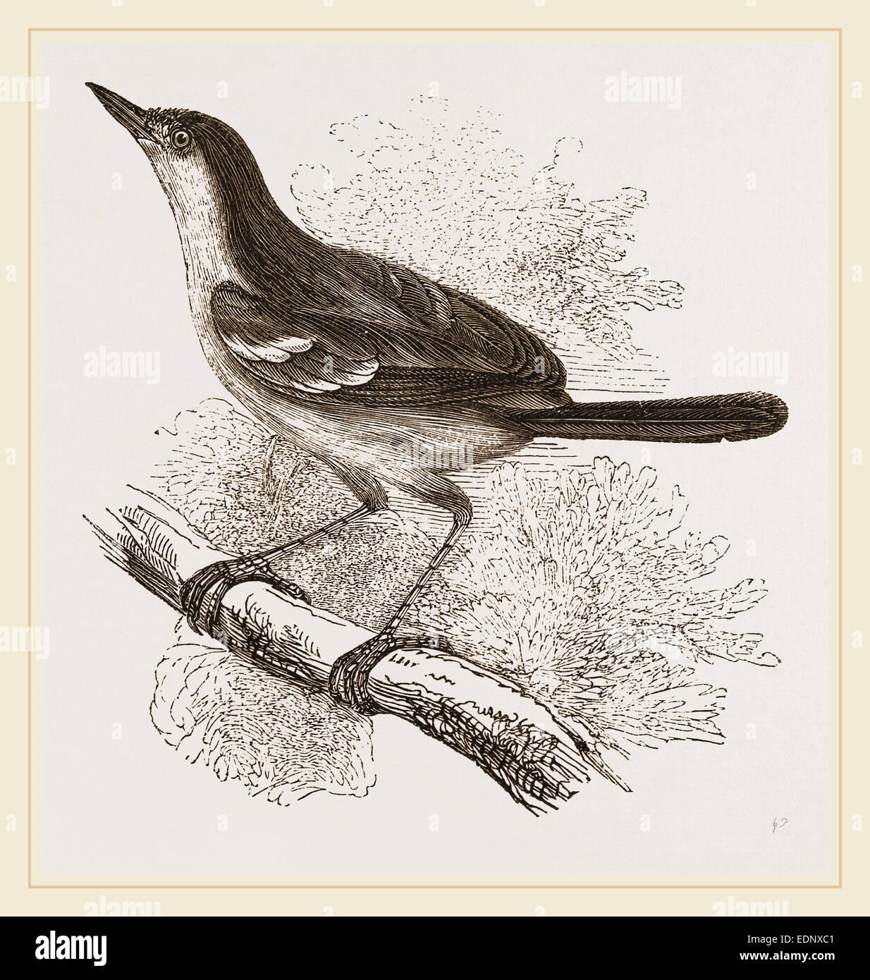 Familiar hi-res stock photography and images - Alamy