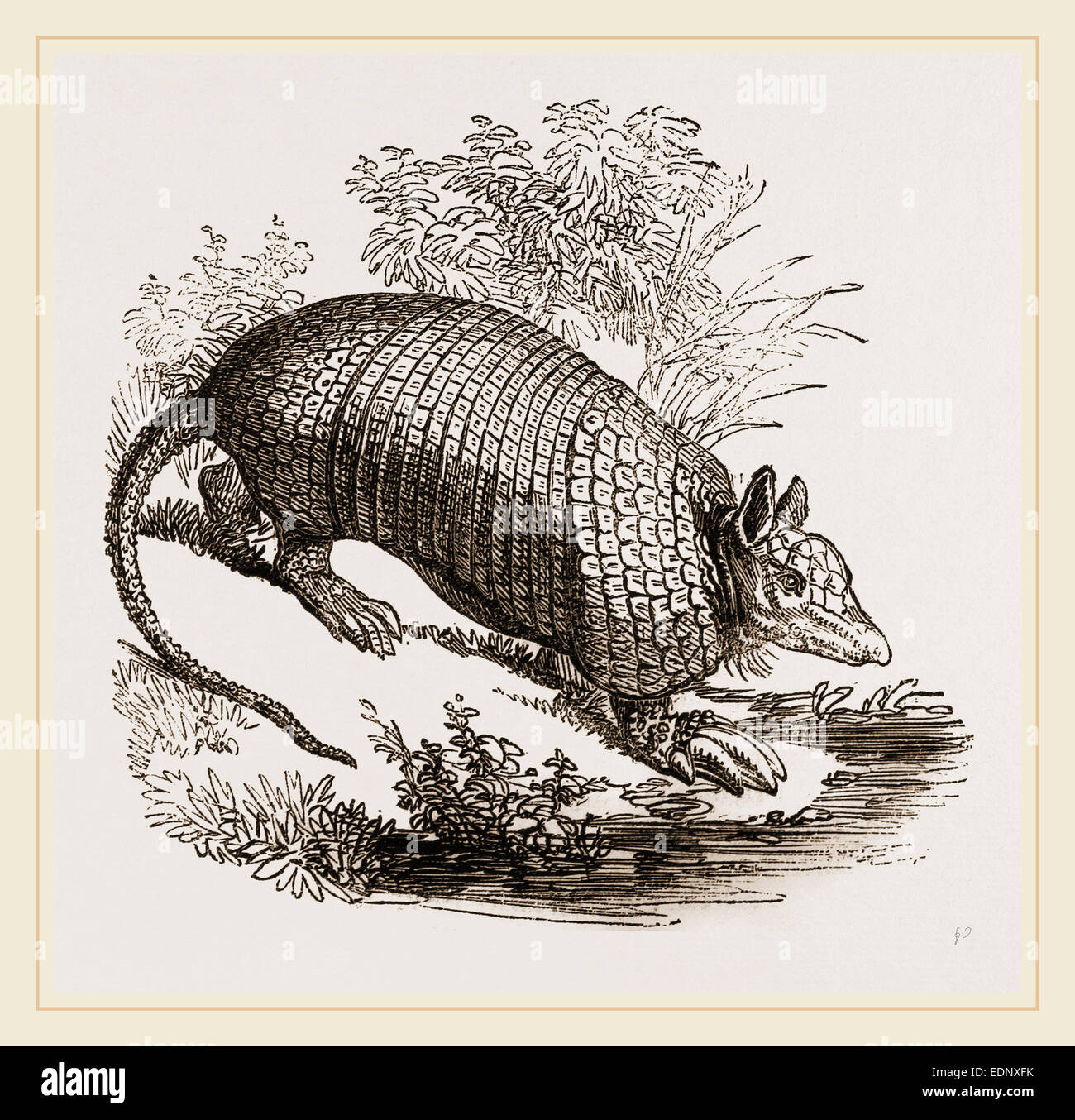 Tatouay hi-res stock photography and images - Alamy