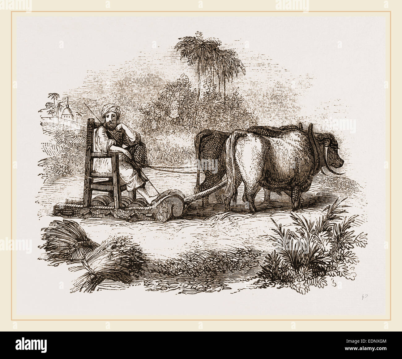 Threshing sledge hi-res stock photography and images - Alamy