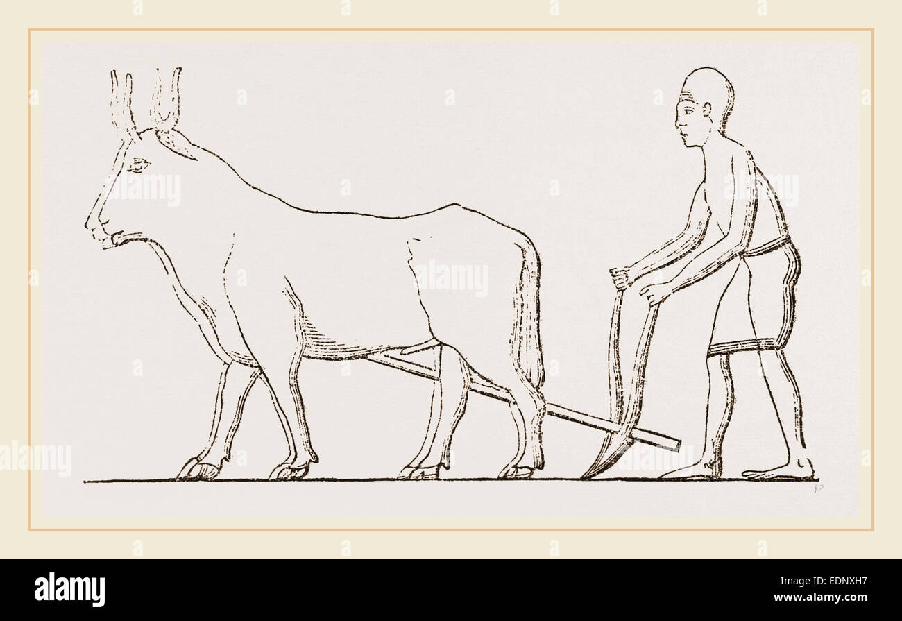 Ancient Egyptian Ploughing Egypt Stock Photo - Alamy