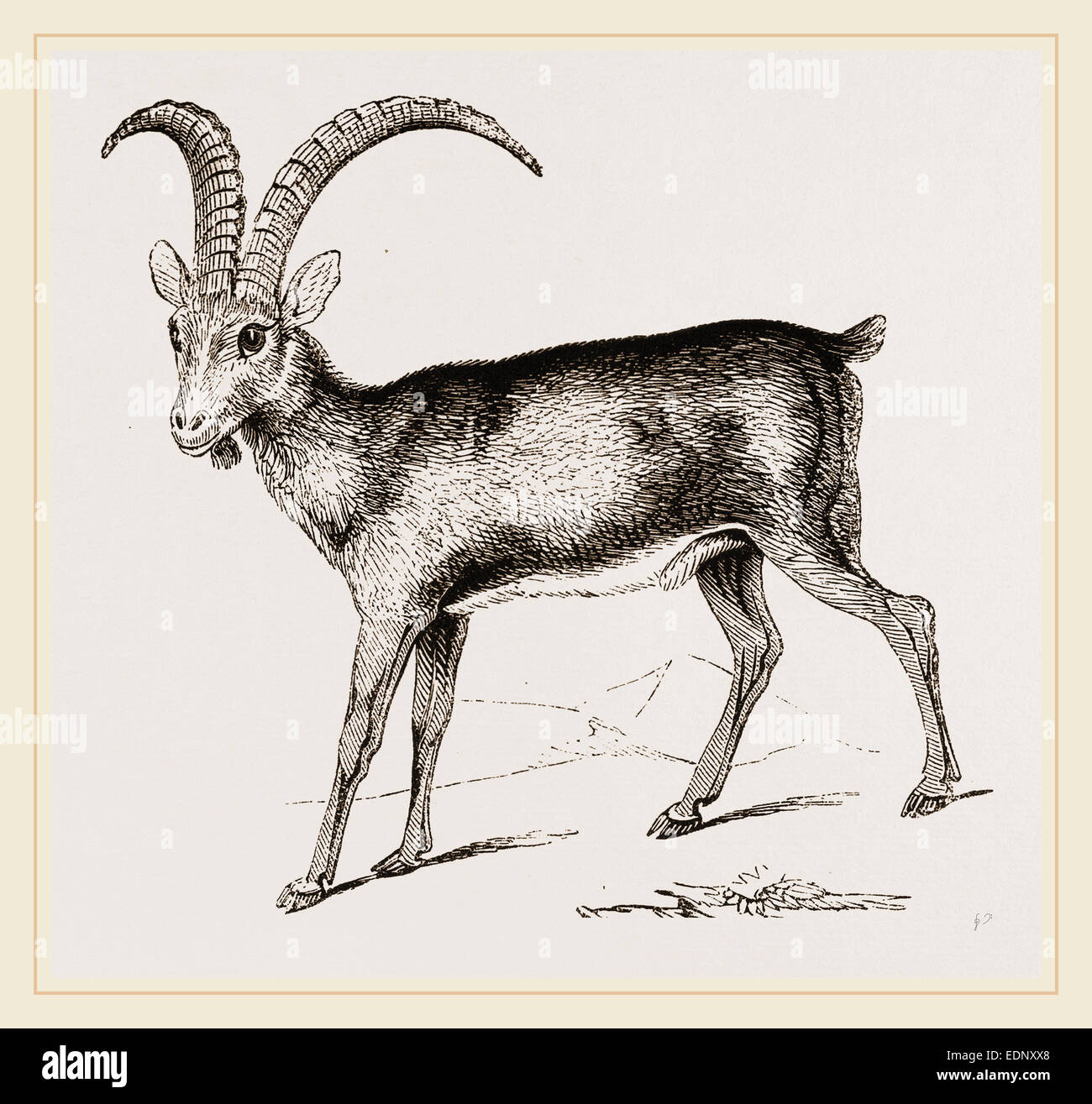 Biology biological hi-res stock photography and images - Alamy