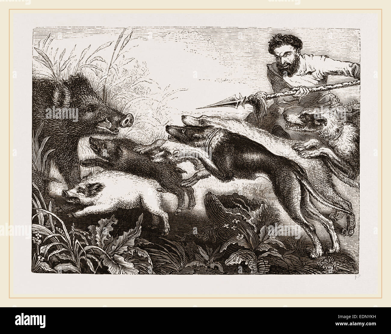 The boar hunt hi-res stock photography and images - Alamy
