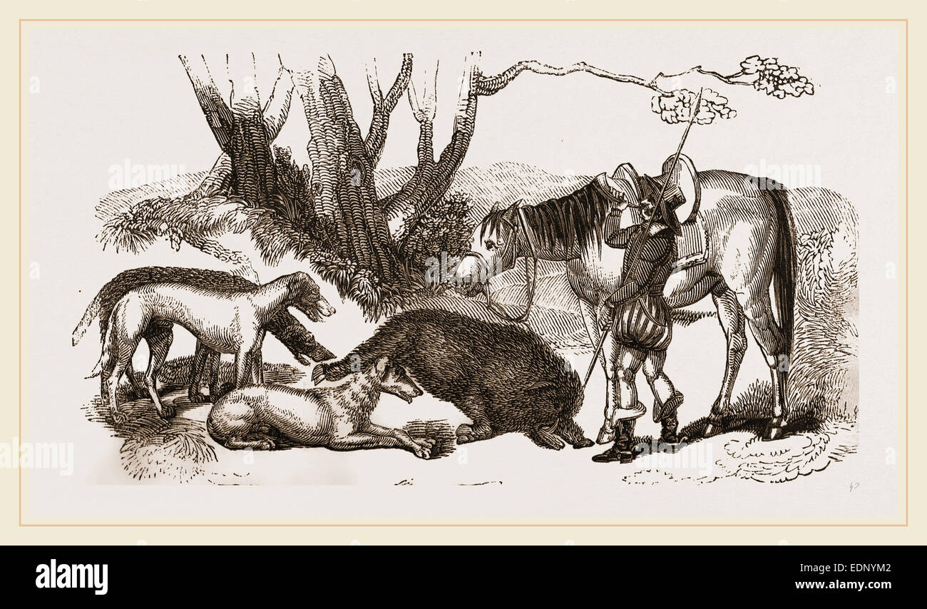 The boar hunt hi-res stock photography and images - Alamy