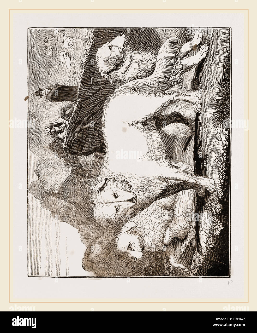 Italian Wolf Dogs Stock Photo - Alamy