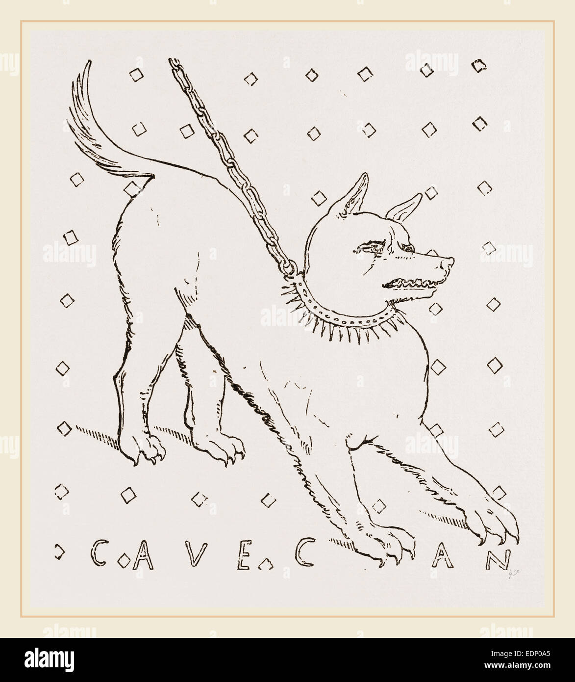 Roman dog hi-res stock photography and images - Alamy