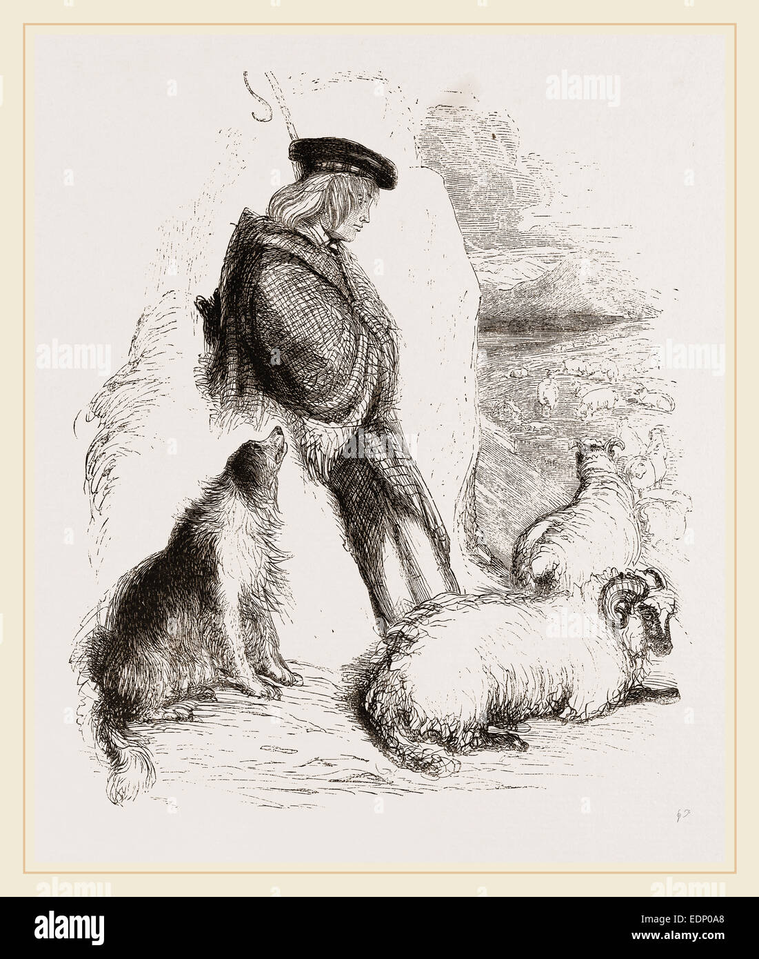 Highland Shepherd and Dog Stock Photo - Alamy