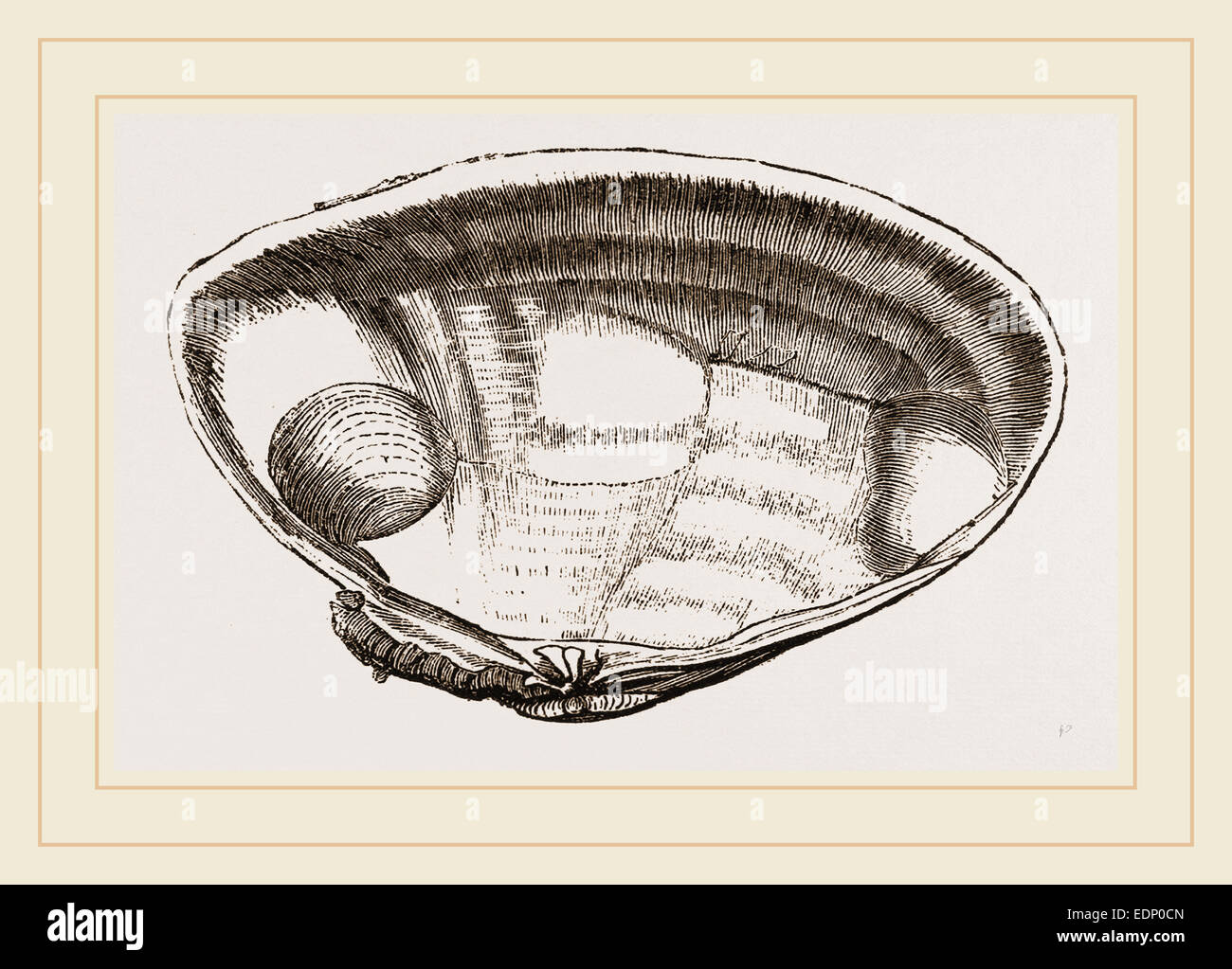 Capsa hi-res stock photography and images - Alamy