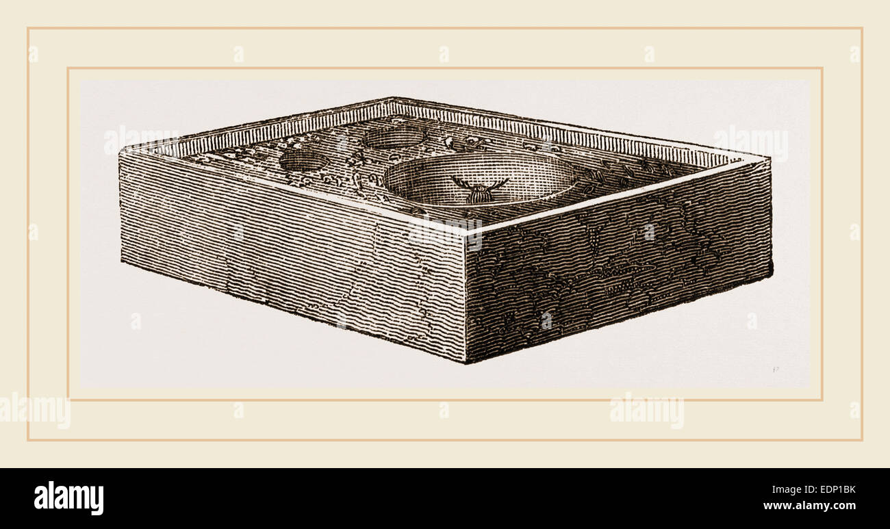 Ant-lion and Pit in Box Stock Photo - Alamy