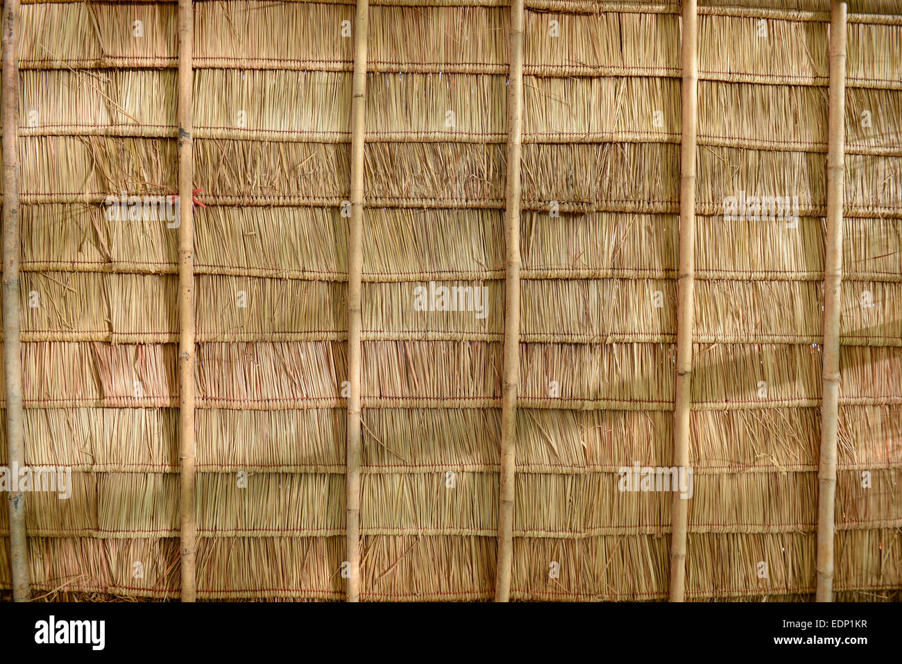 thatch roof background Stock Photo - Alamy
