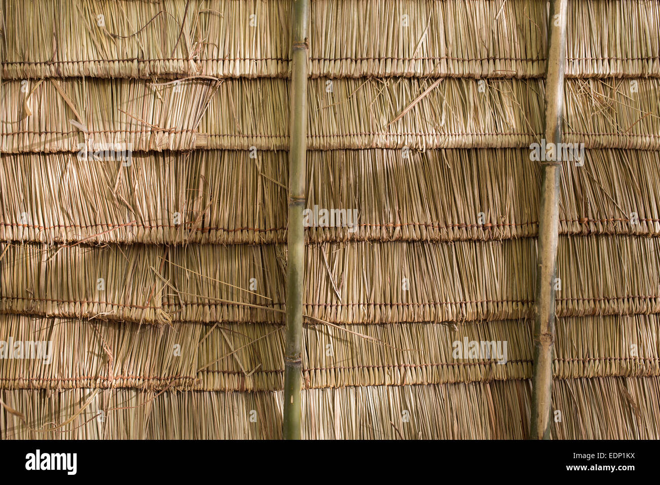 Tropical straw roof hut hi-res stock photography and images - Alamy