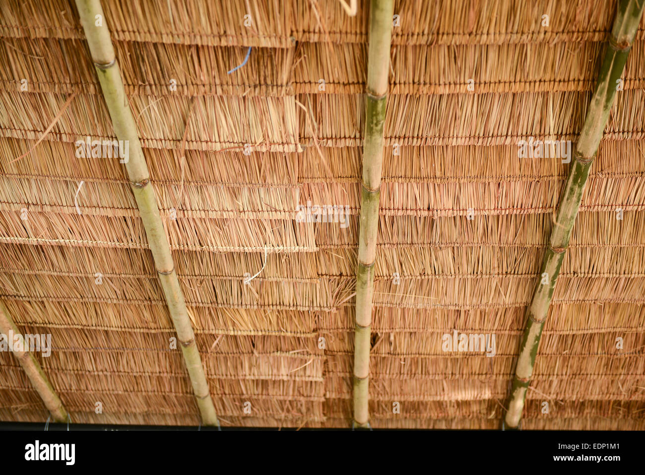 thatch roof background Stock Photo - Alamy