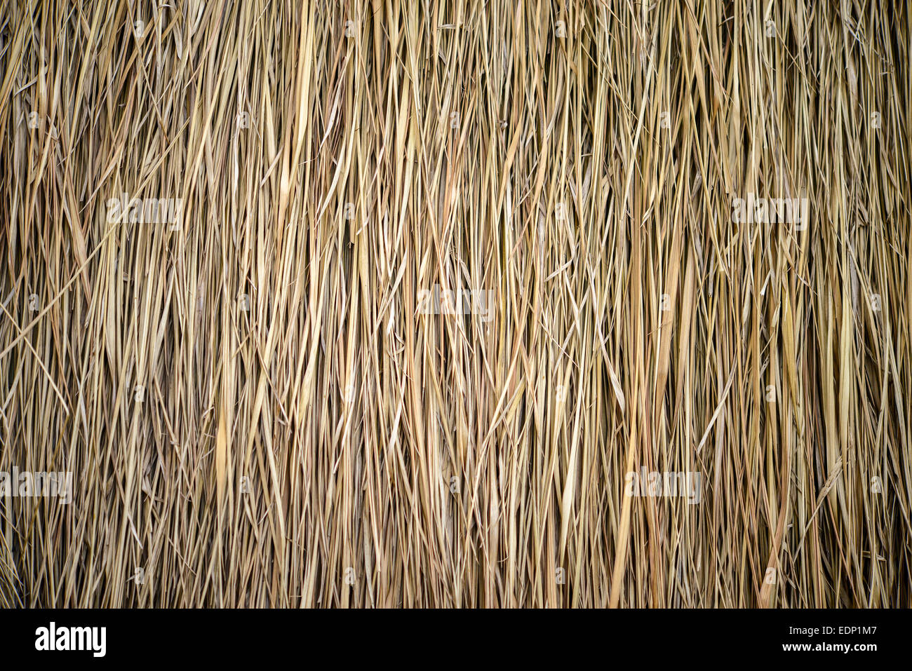 thatch roof background Stock Photo - Alamy