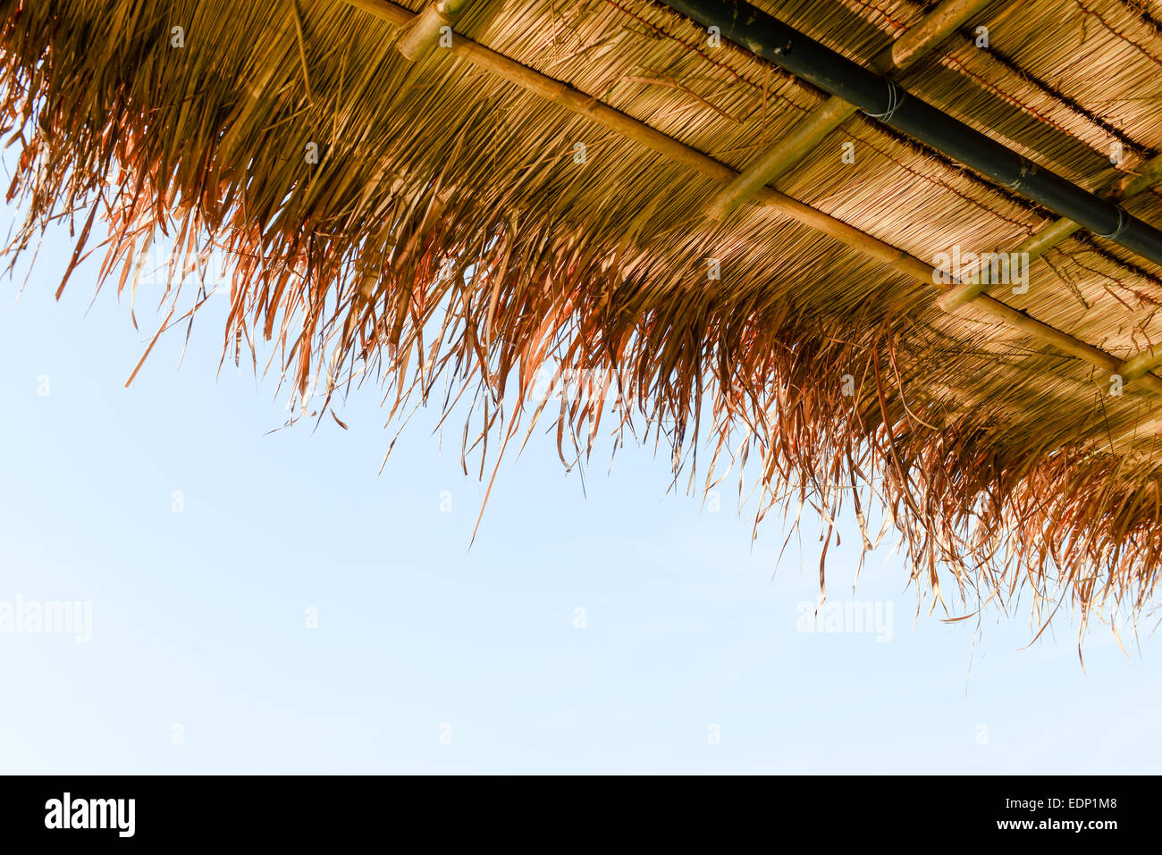 Tropical straw roof hut hi-res stock photography and images - Alamy