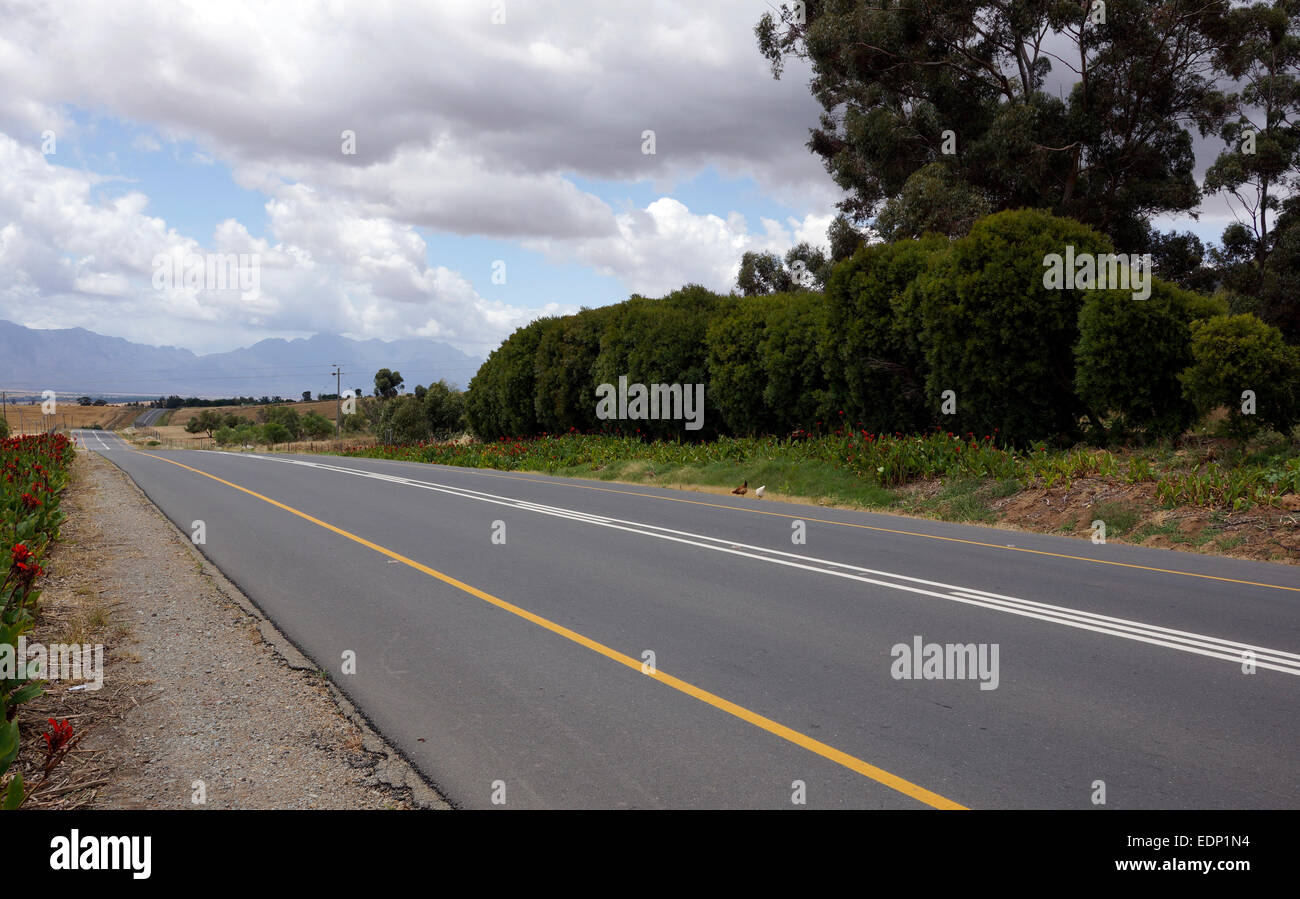 South africa riebeek kasteel western cape province hi-res stock ...