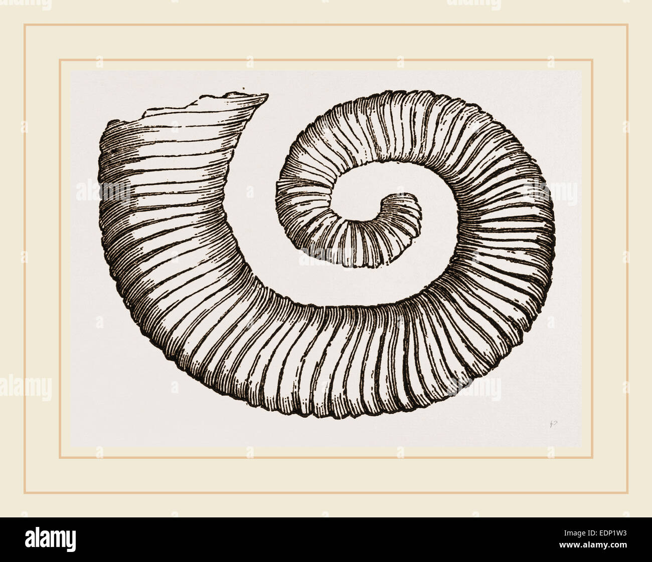 Duvals hi-res stock photography and images - Alamy