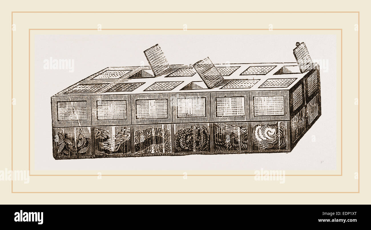 Breeding-Cage for Larvae Stock Photo - Alamy