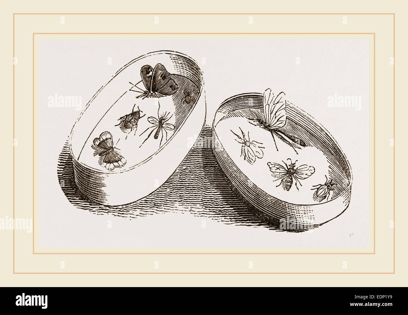 Chip collecting box hi-res stock photography and images - Alamy