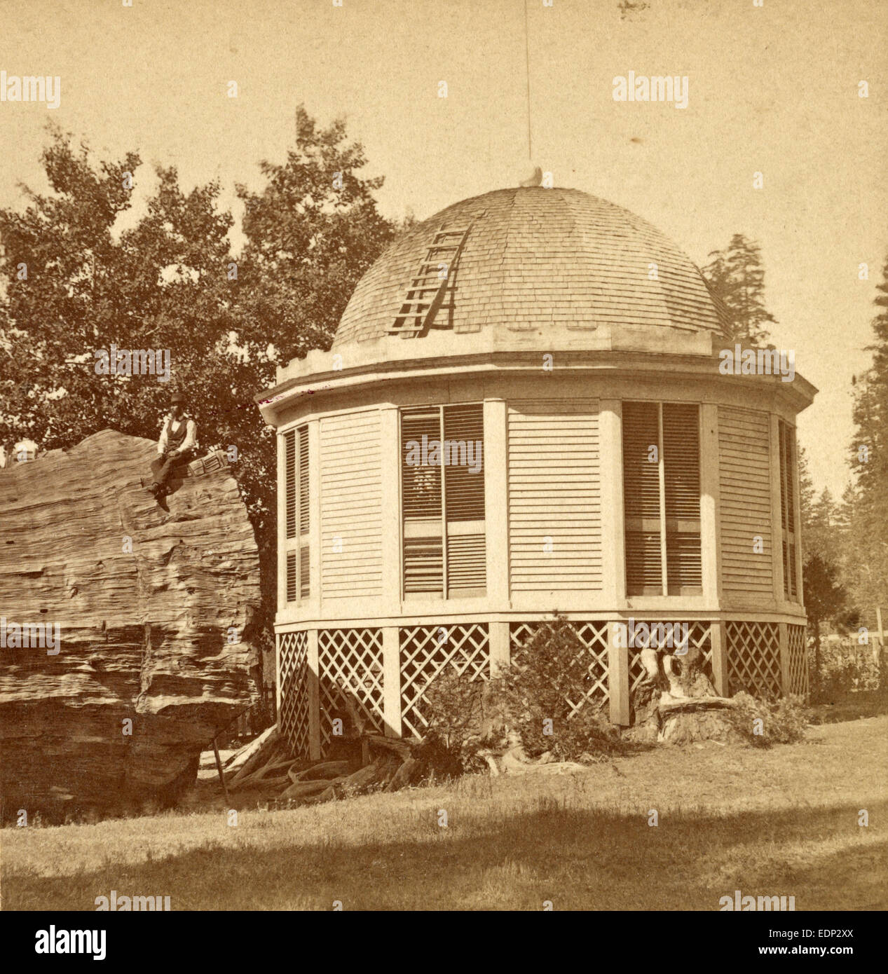 Dancing pavilion, on stump of big tree, US, USA, America, Vintage ...
