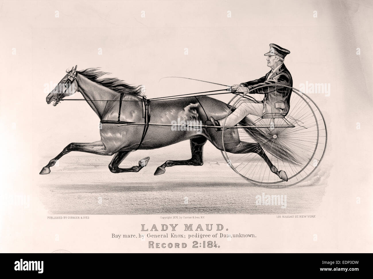 Lady Maud: bay mare, by General Knox; pedigree of dam, unknown; Currier ...