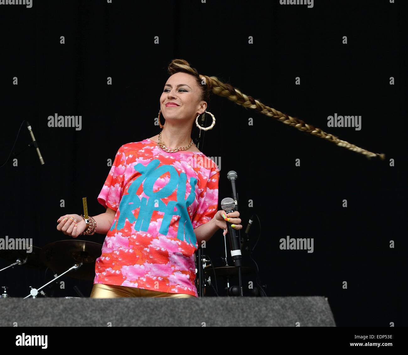 Groove Music Festival 2014 - Day 1 Featuring: Miss Kate Where: Dublin ...