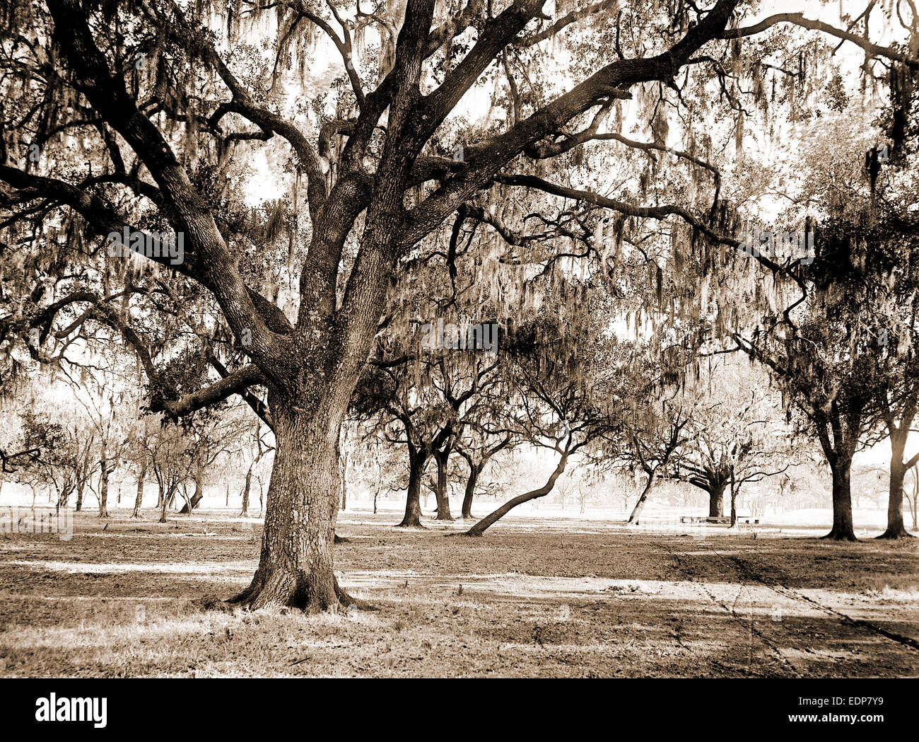 Old grounds hi-res stock photography and images - Alamy