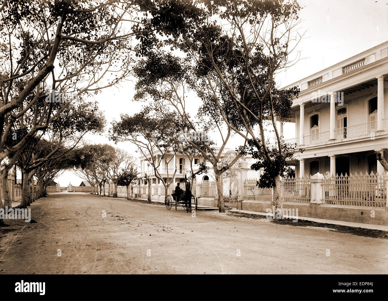 Residences in El Vedado, Havana, Dwellings, Cuba, Havana, 1900 Stock ...