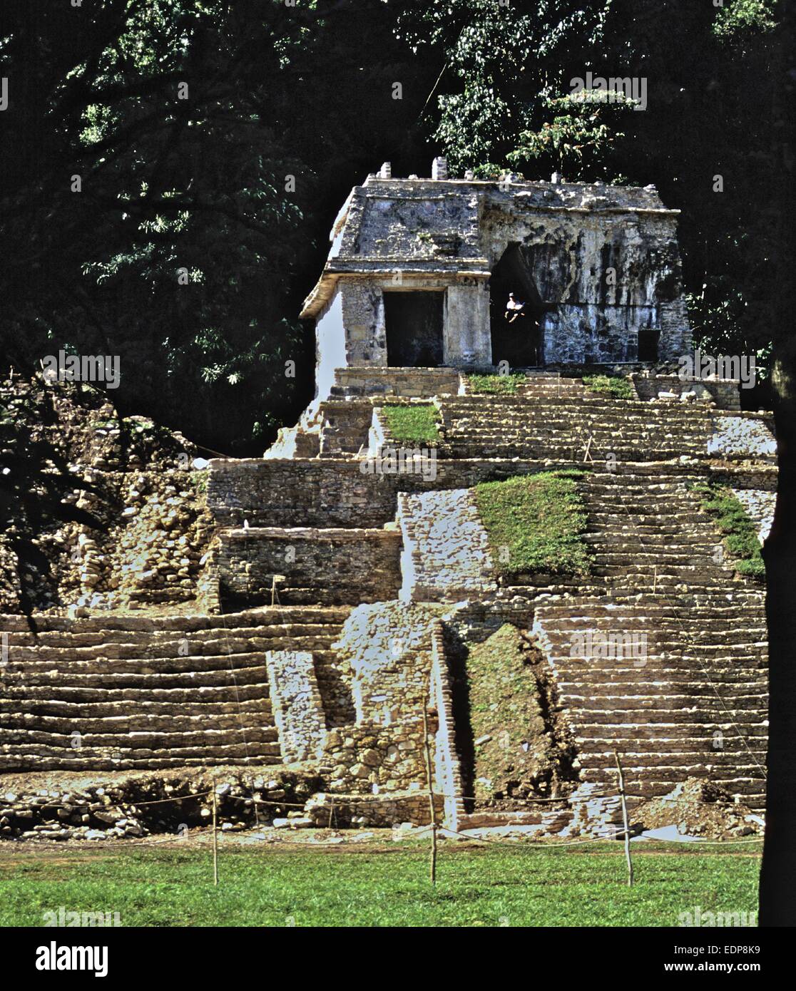 Mexico - Maya ruins at Palenque - one of the biggest and best ...