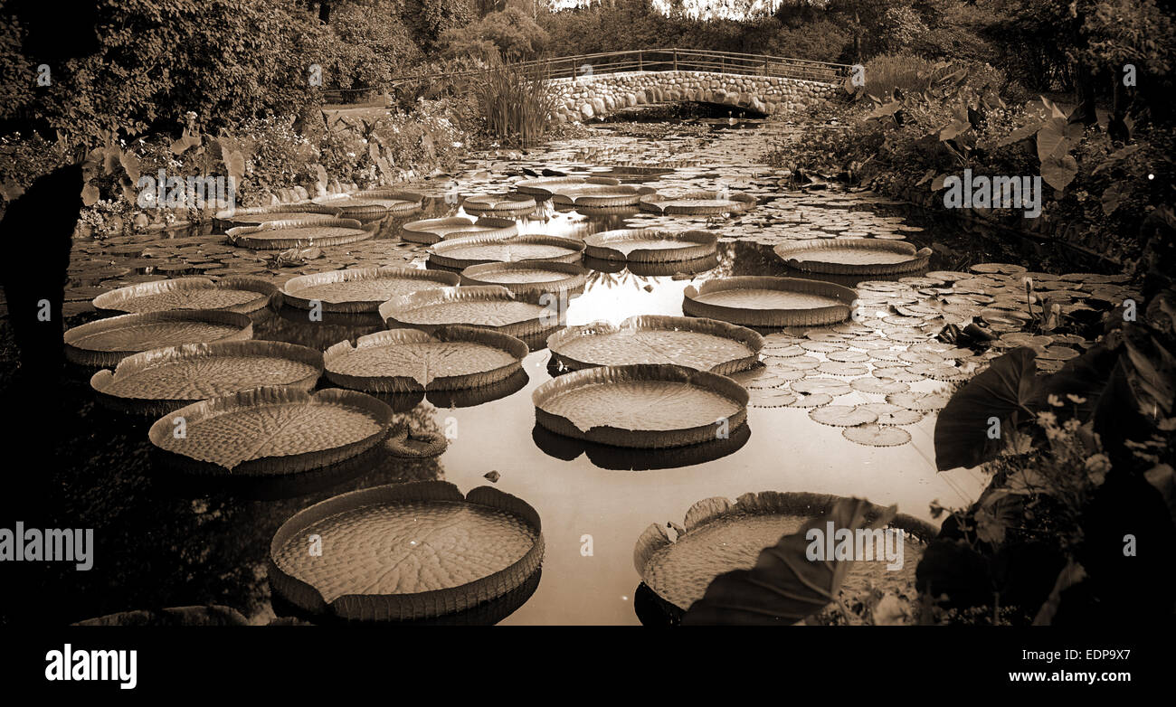 Minnesota Gardens High Resolution Stock Photography and Images - Alamy