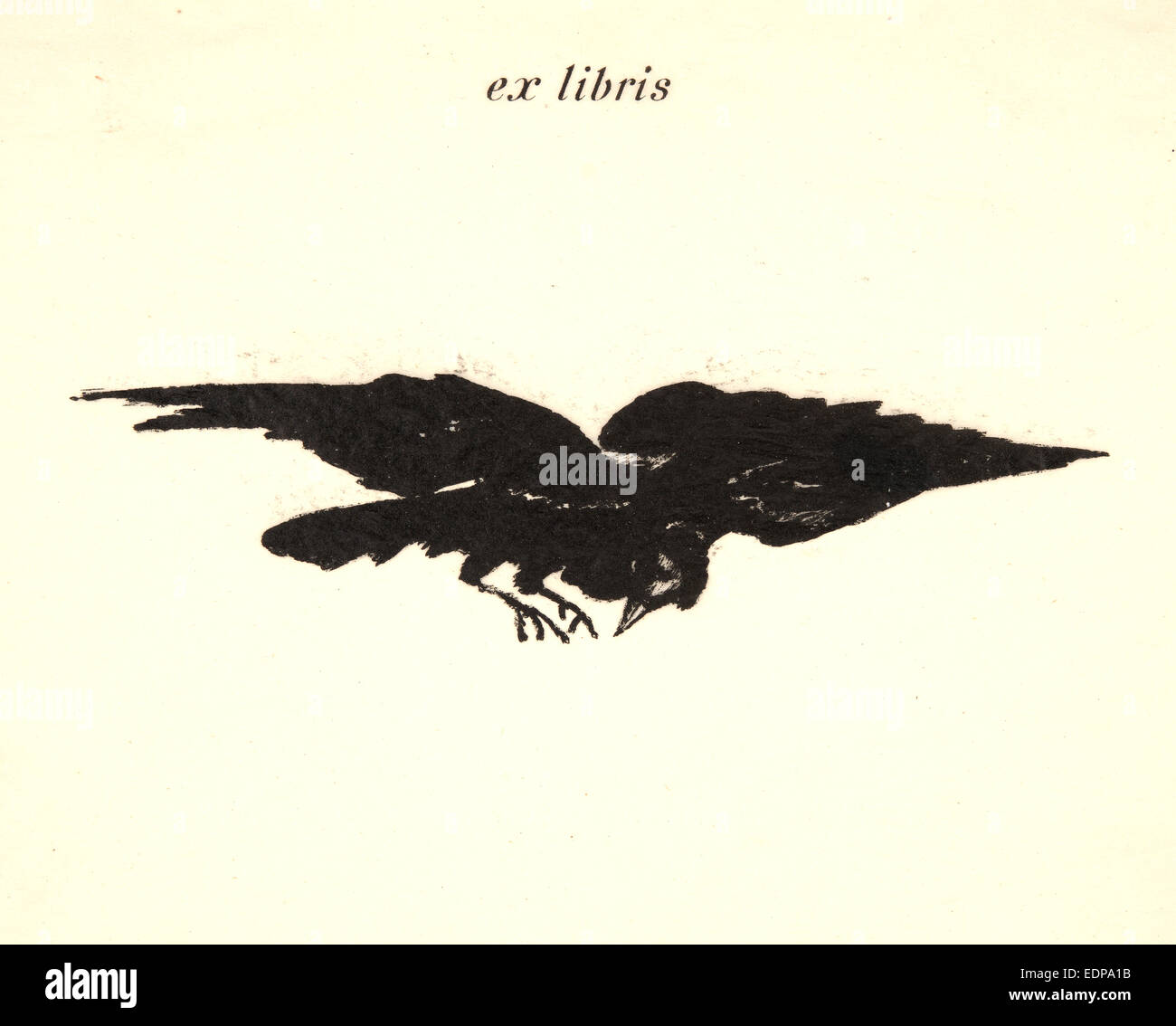 Corbeau flying hi-res stock photography and images - Alamy