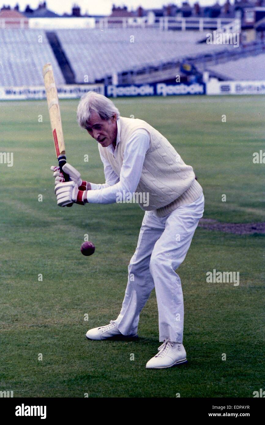 Peter O Toole cricket Stock Photo - Alamy